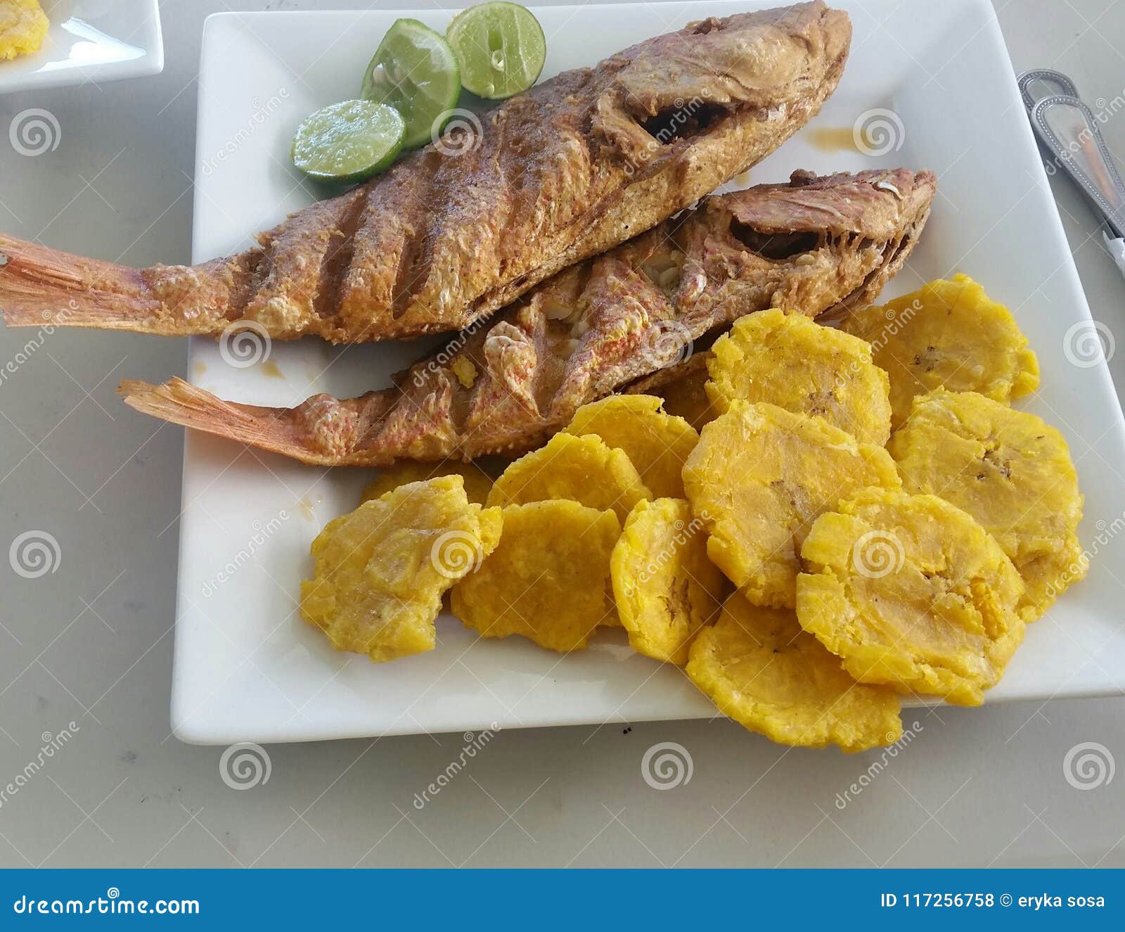 Fried fish stock photo. Image of fried, fish, beach - 117256758