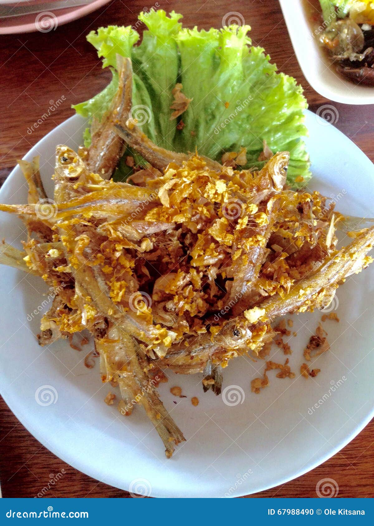 Fried fish stock photo. Image of small, fried, fish, garlic - 67988490