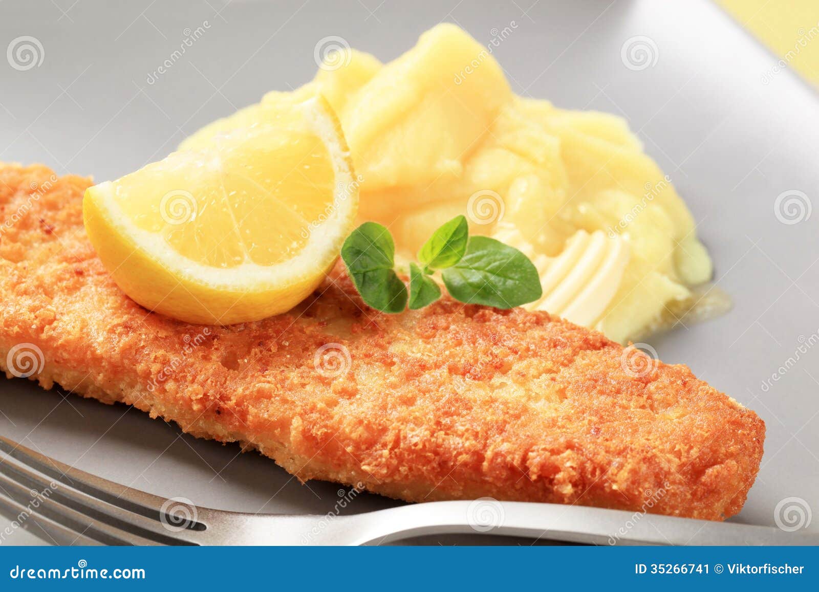 Fried Fish with Mashed Potato Stock Image - Image of gray, fish: 35266741