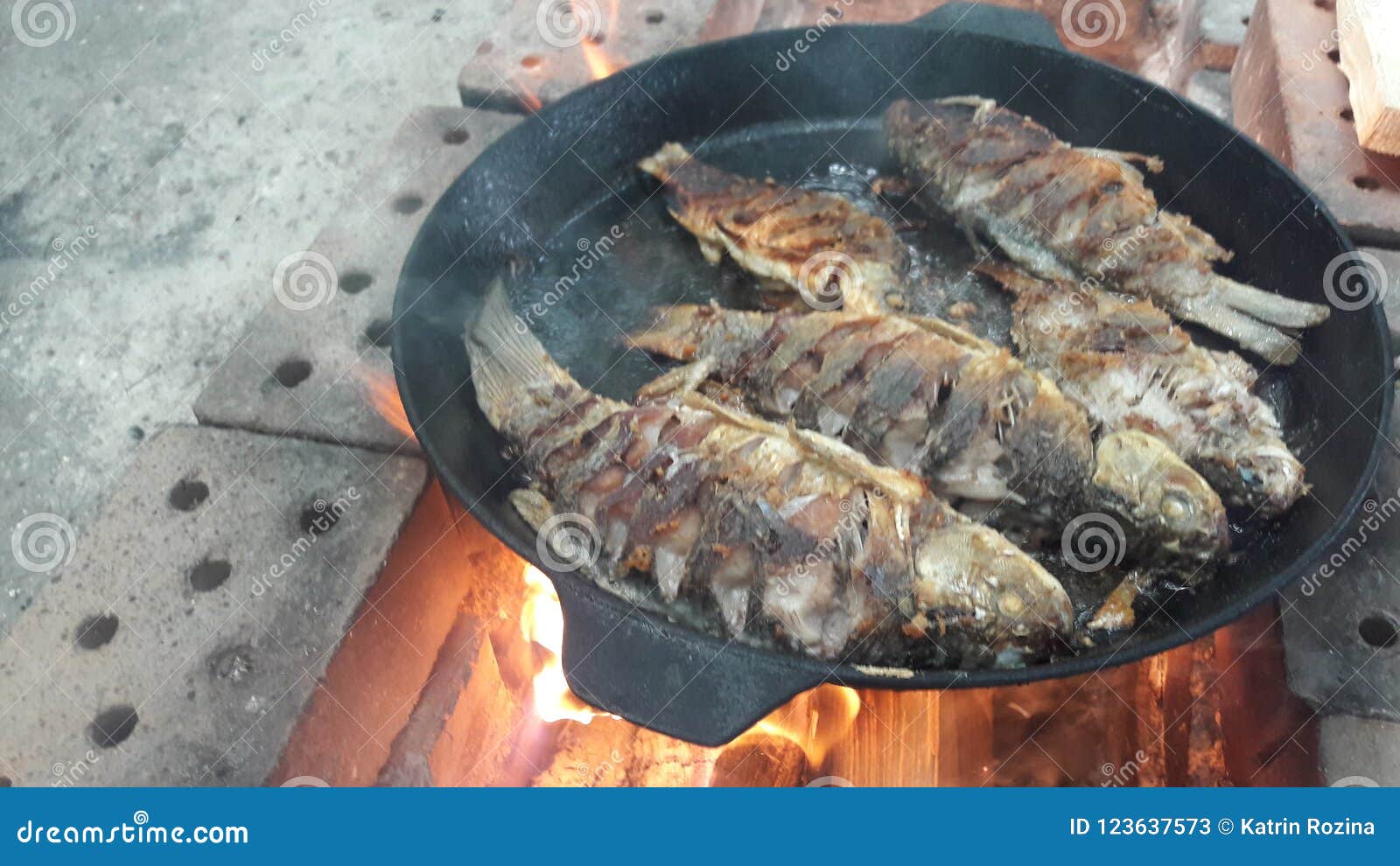 Fried fish on an open fire stock image. Image of fried - 123637573