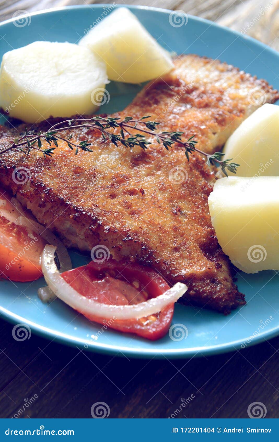 Fried fish stock photo. Image of homemade, delicious - 172201404