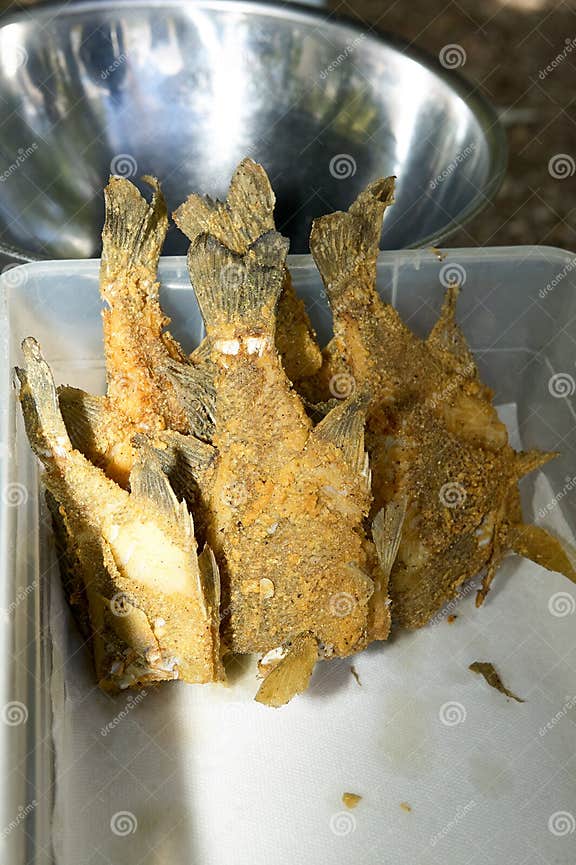 Fried Fish in Plastic Container Stock Photo - Image of plastic, fried ...