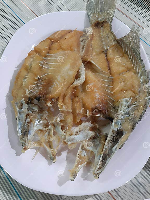 Fried fish on the plate stock image. Image of gourmet - 280815067