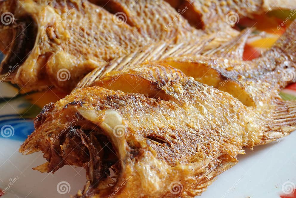 Fried fish on plate stock photo. Image of nutrition - 125062878