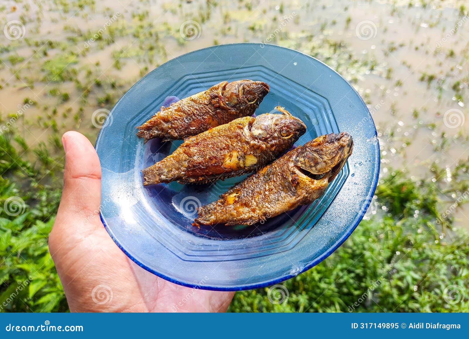 Fried Fish on a Plate Ready To Eat Stock Image - Image of lemon, green ...
