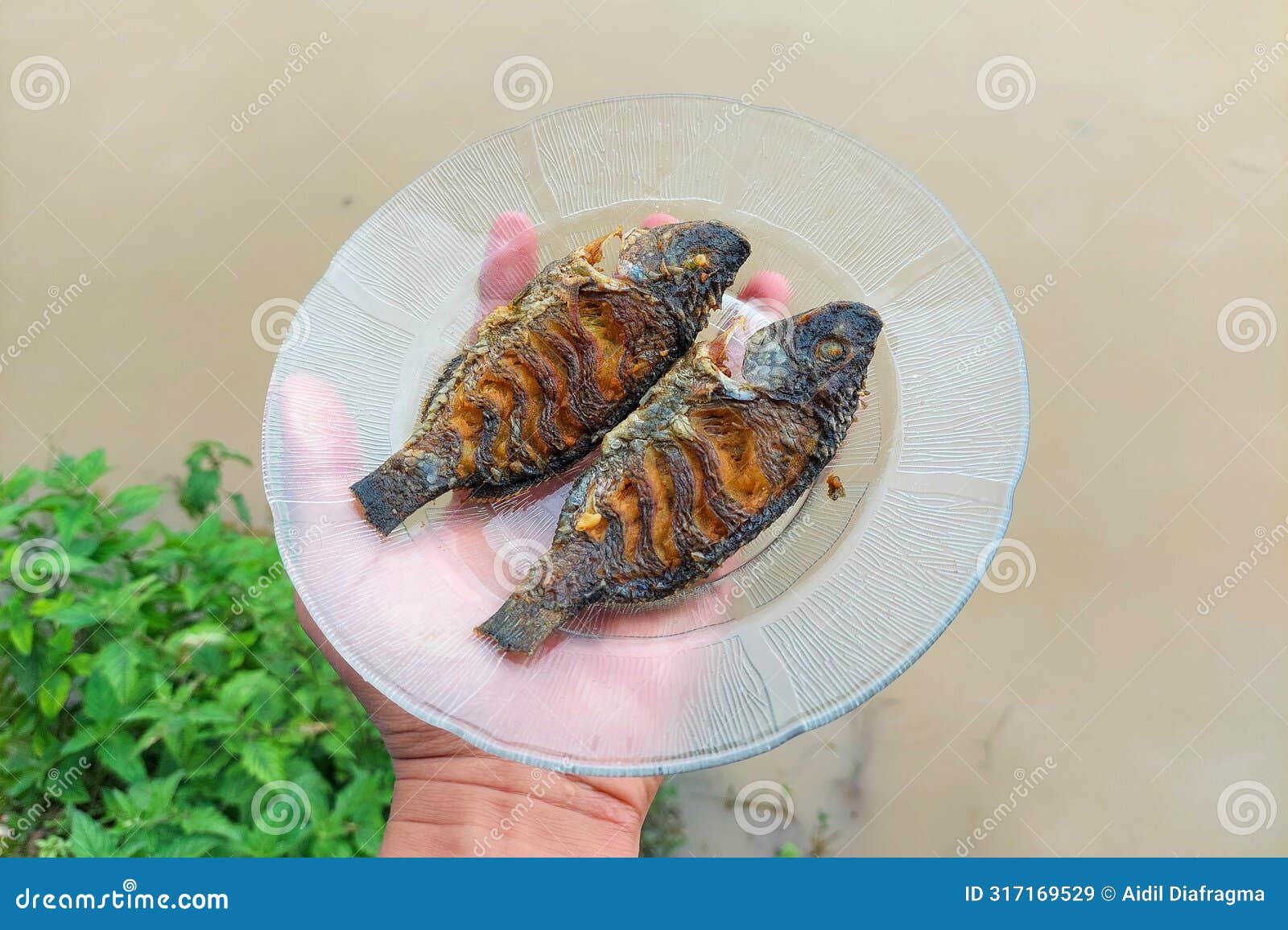 Fried Fish on a Plate Ready To Eat Stock Image - Image of fried, arabic ...