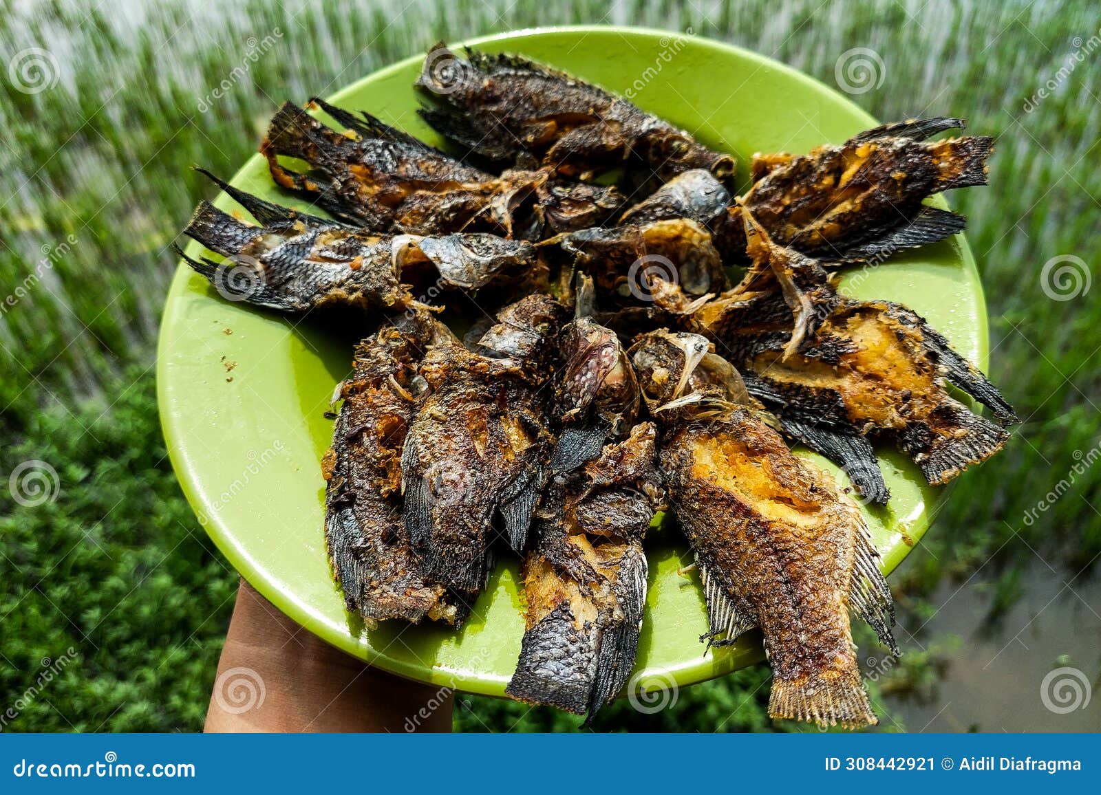 Fried Fish on a Plate in the Rice Field Stock Image - Image of diet ...