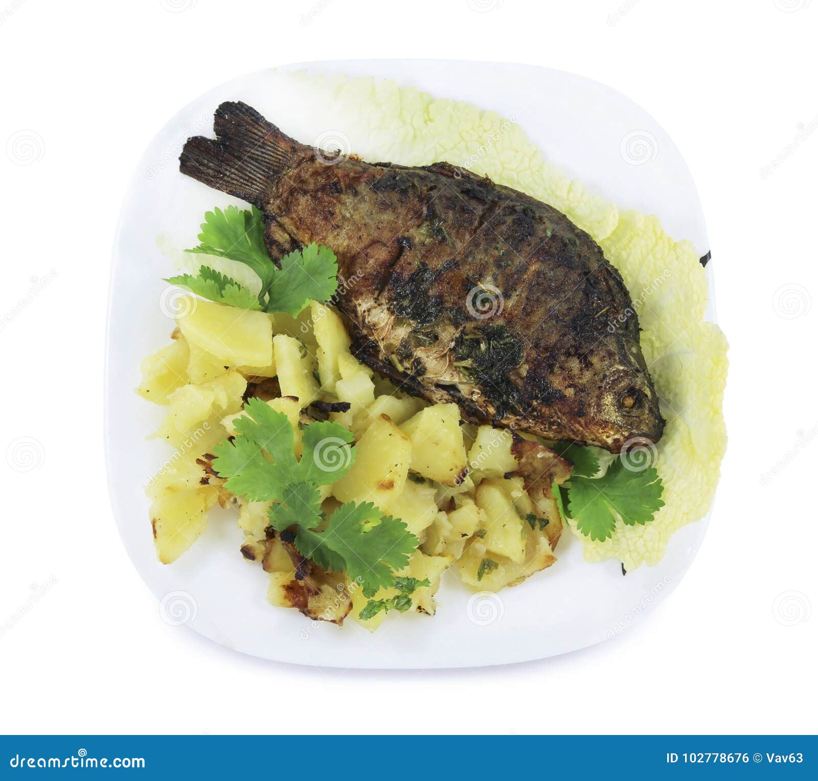 Fried potatoes and fish stock photo. Image of dinner - 102778676