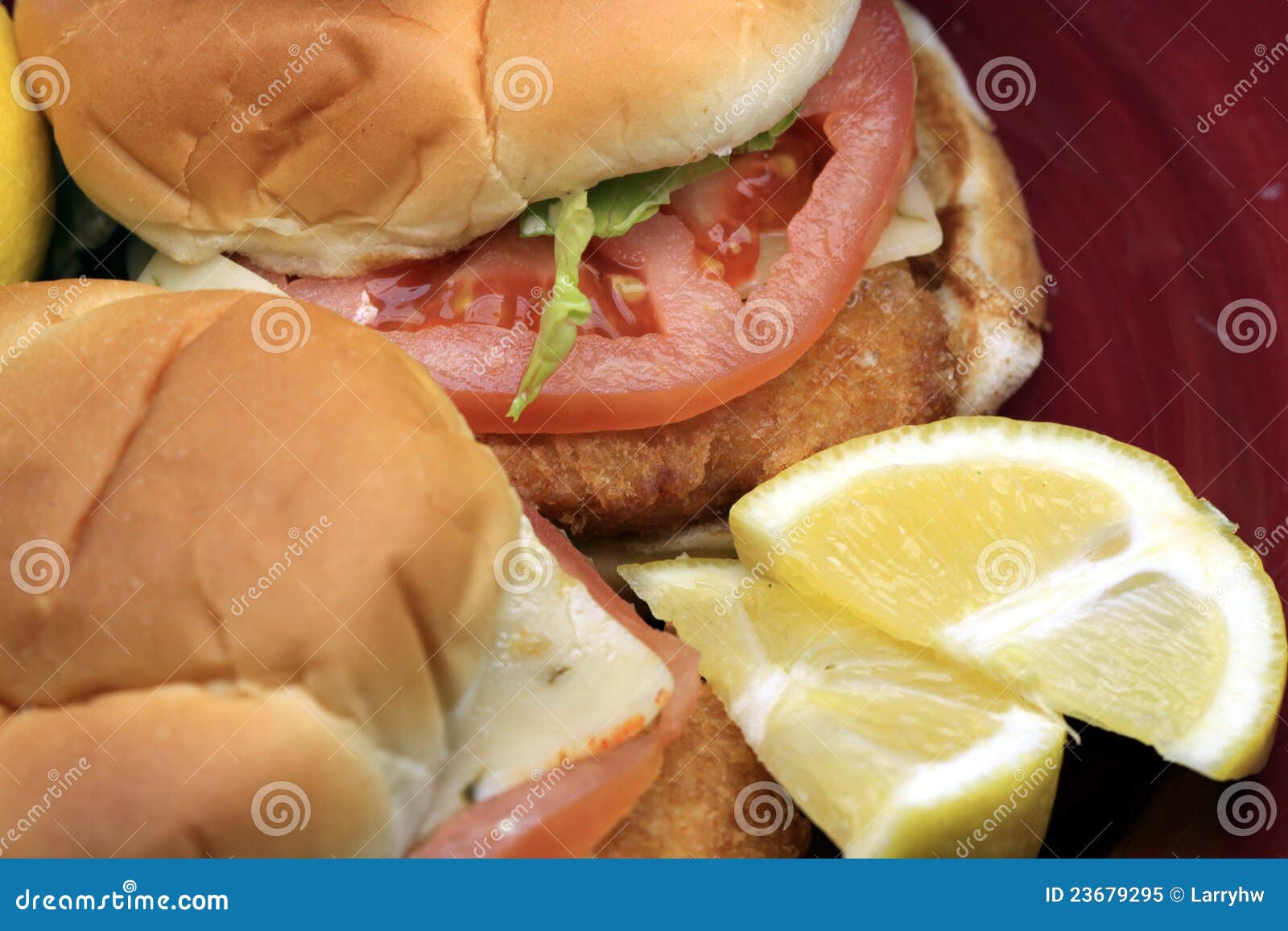 Fried Fish Sandwich on a Bun Stock Image - Image of breaded, snack ...