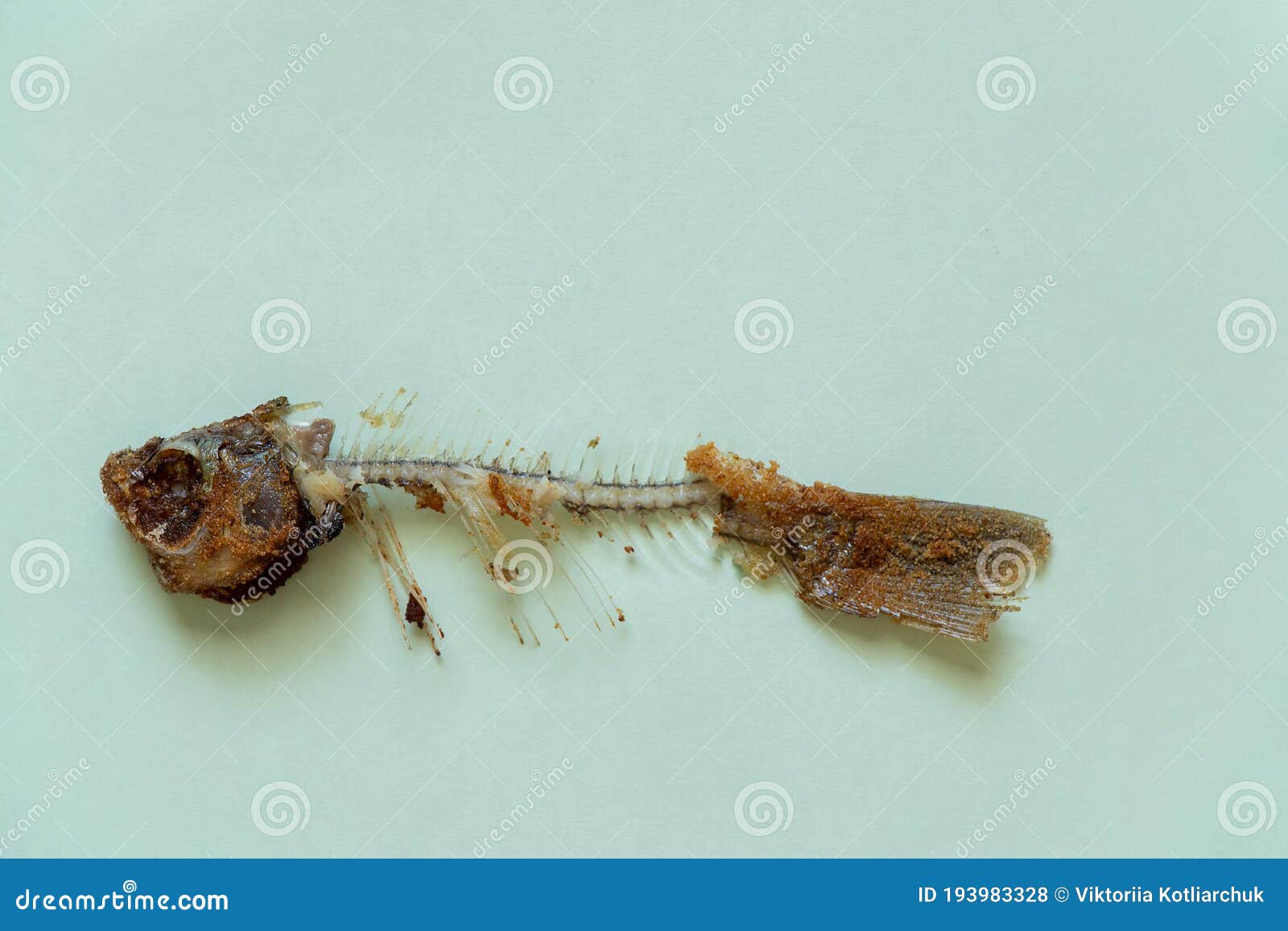 Fried Fish Skeleton on a Blue Background Closeup Stock Photo - Image of ...