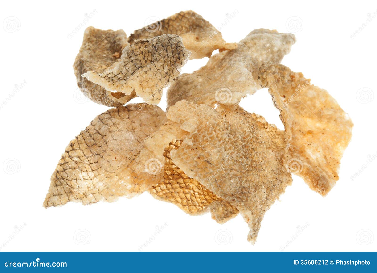 Fish Skin Injured By Chemicals Under The Microscope Stock Photo ...