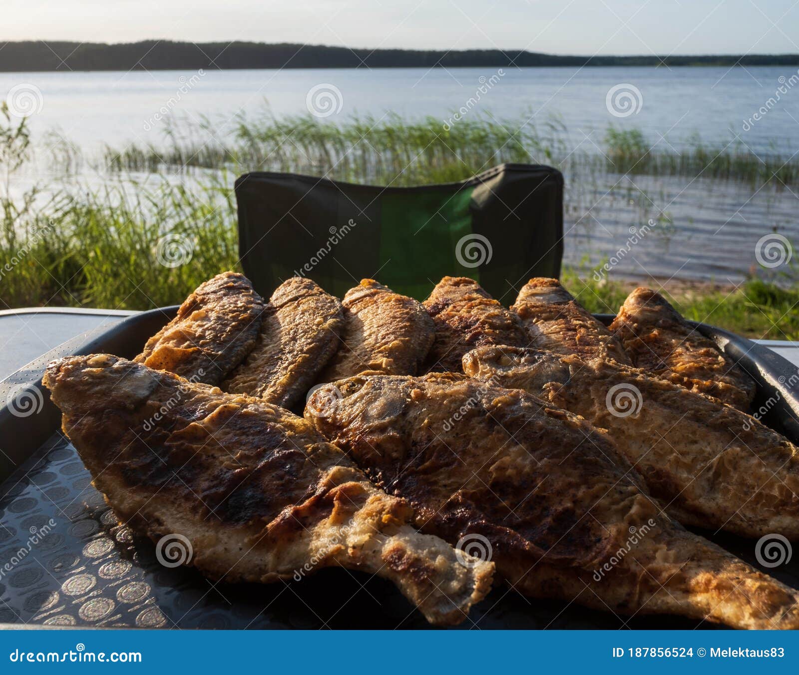 Fried Fish on a Table in Front of a Lake Stock Photo - Image of blue ...