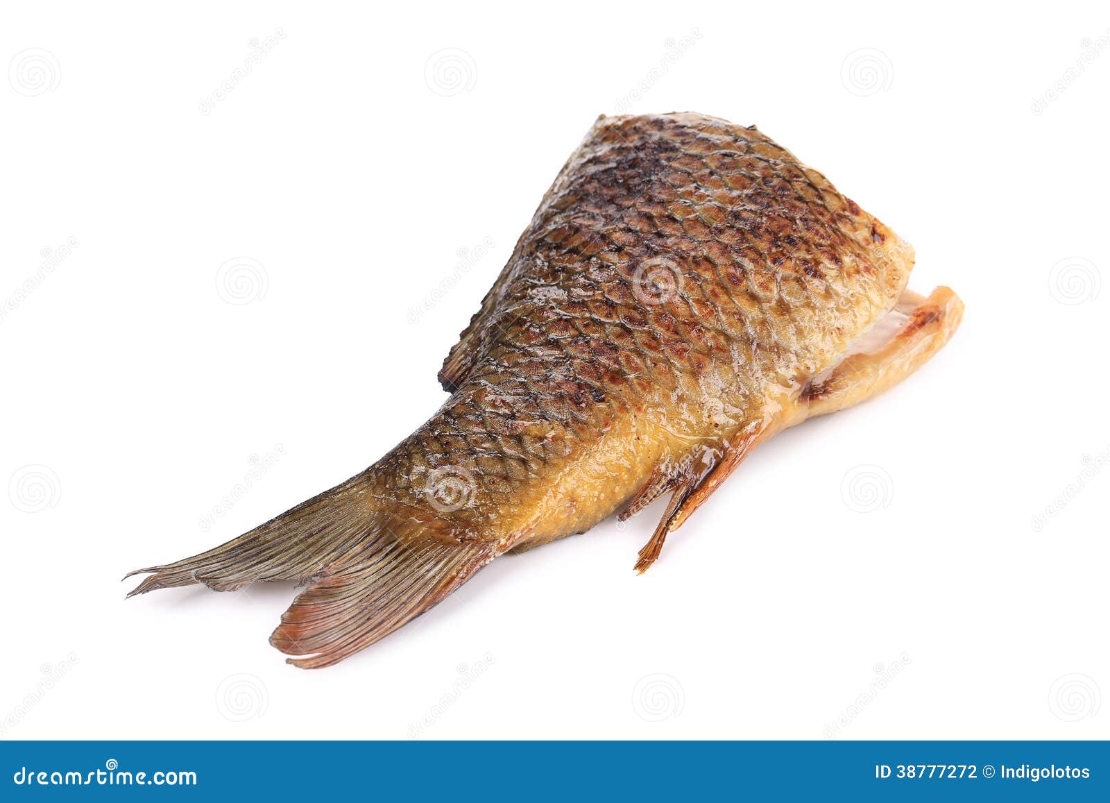 Fried fish tail. stock photo. Image of calorie, nourishment - 38777272