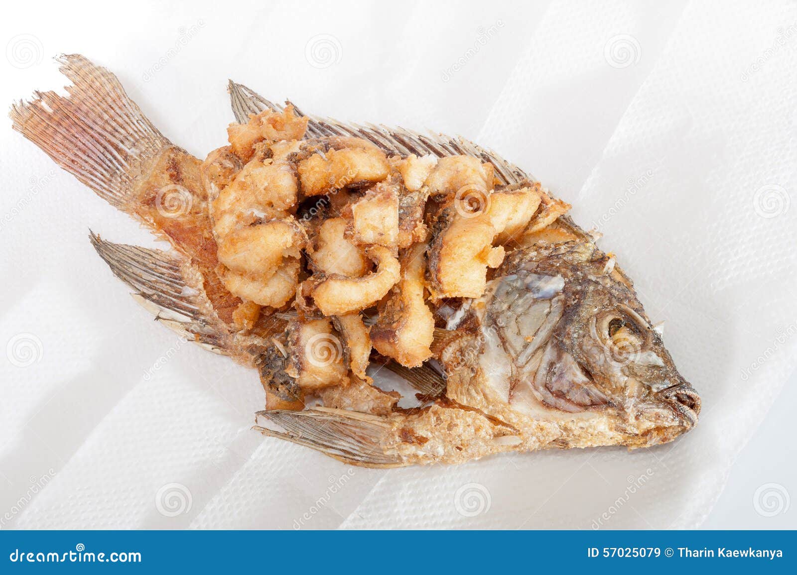 Fried fish stock image. Image of dinner, garnish, healthy - 57025079