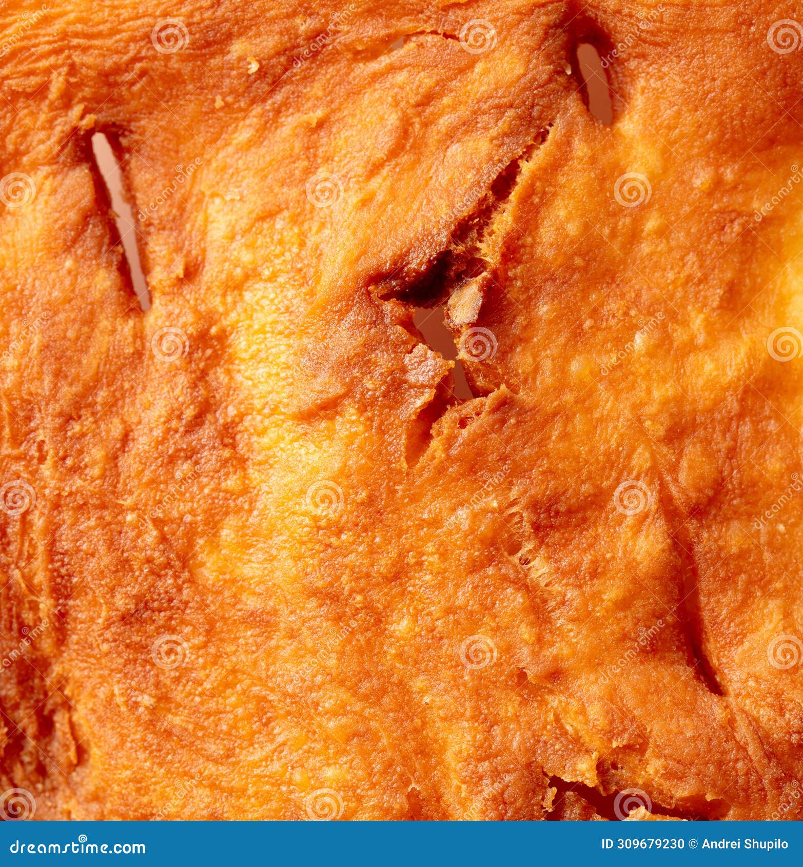 Fried Flatbread As an Abstract Background. Texture Stock Photo - Image ...