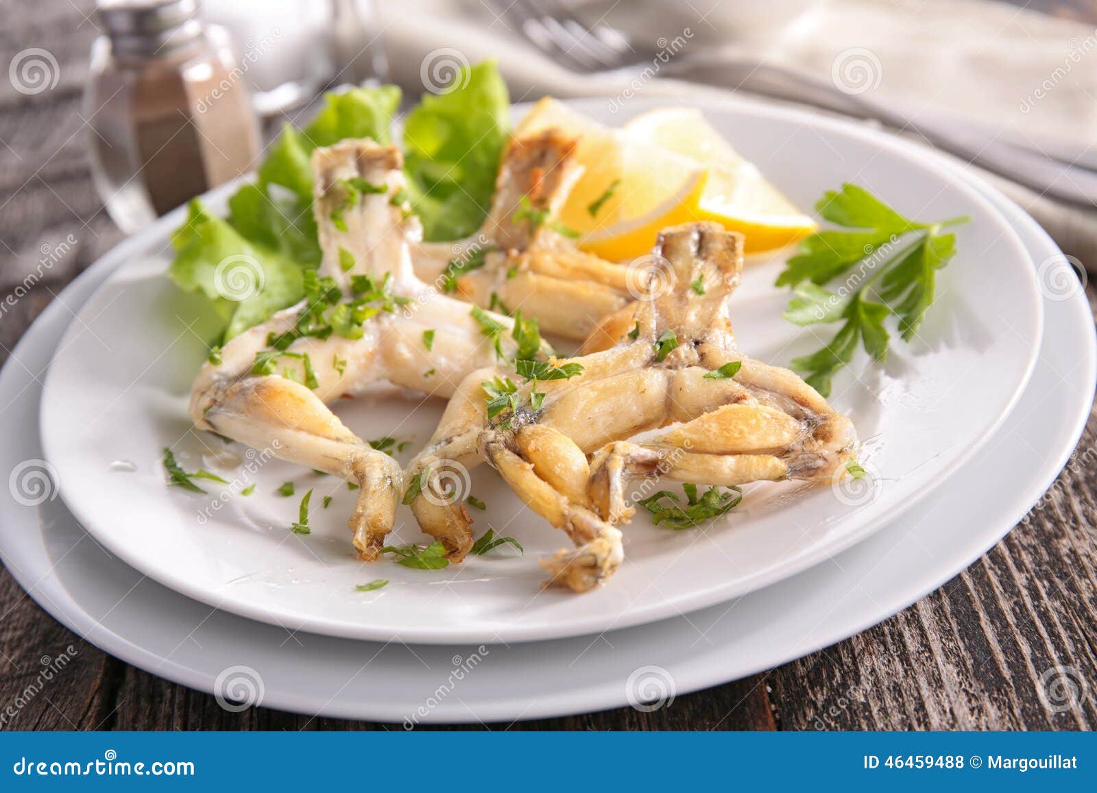 Fried frog stock photo. Image of frog, meat, food, gastronomy - 46459488