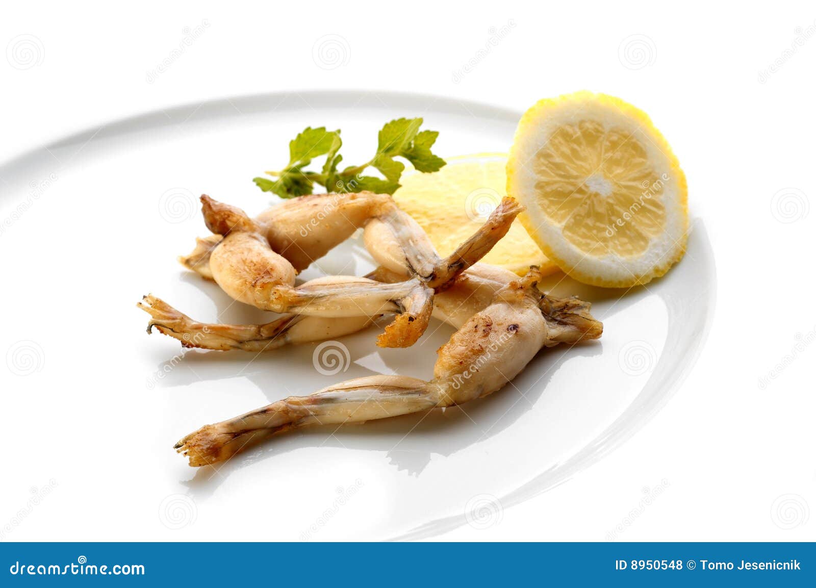 Fried frog legs stock photo. Image of meal, appetizer - 8950548