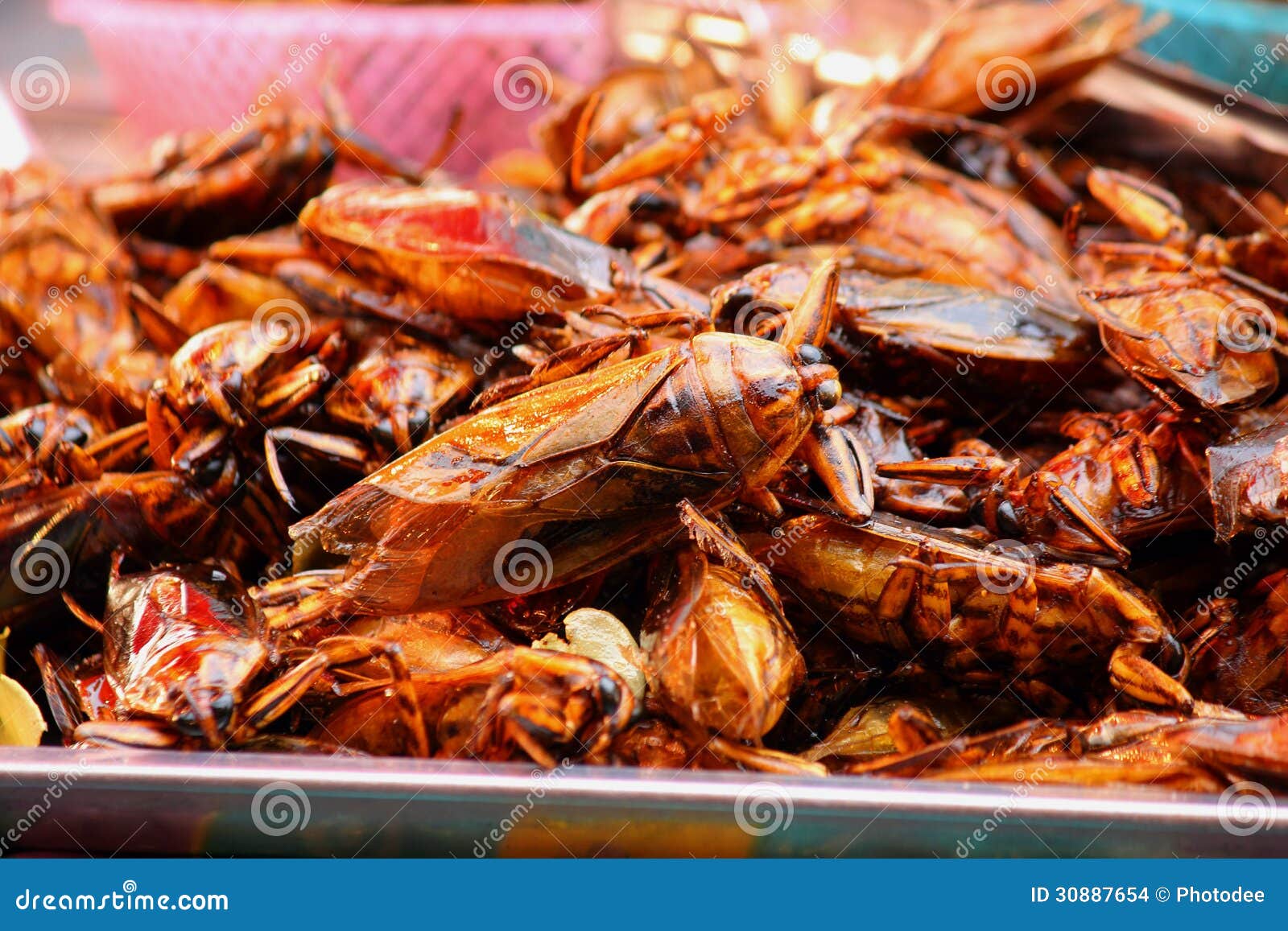 Fried Gian Stock Photos - Free & Royalty-Free Stock Photos from Dreamstime