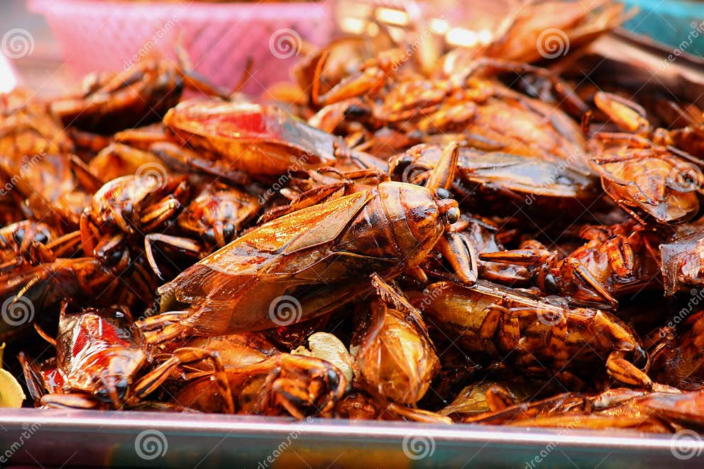 Fried gian stock photo. Image of appetizing, lunch, appetizer - 30887654