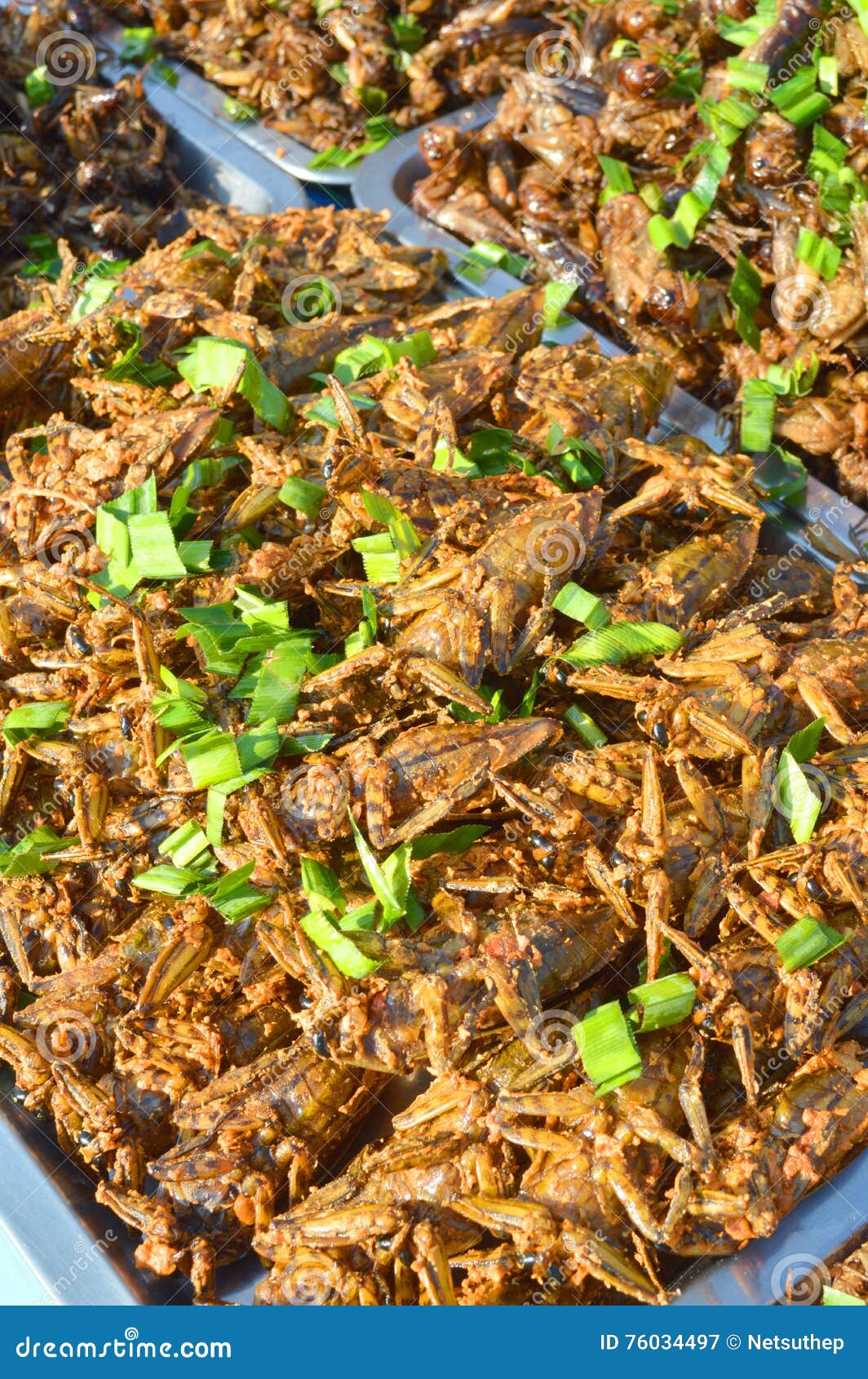 Fried giant water bug stock image. Image of pile, lunch - 76034497
