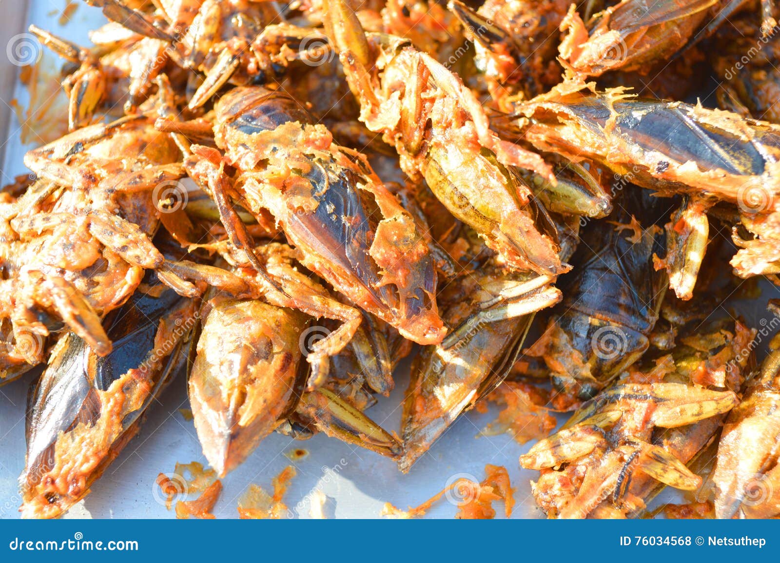 Fried giant water bug stock photo. Image of insect, cuisine - 76034568