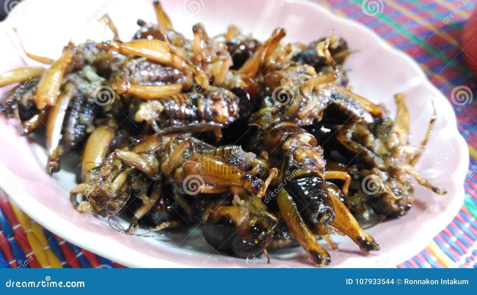 Insects fried in a plate stock photo. Image of meal - 107933544