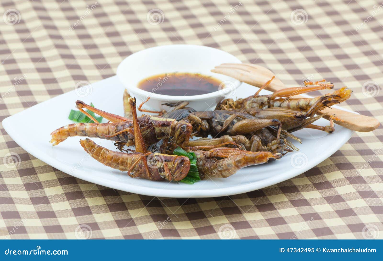 Fried Grasshopper on White Dish Stock Image - Image of sauces, tasty ...