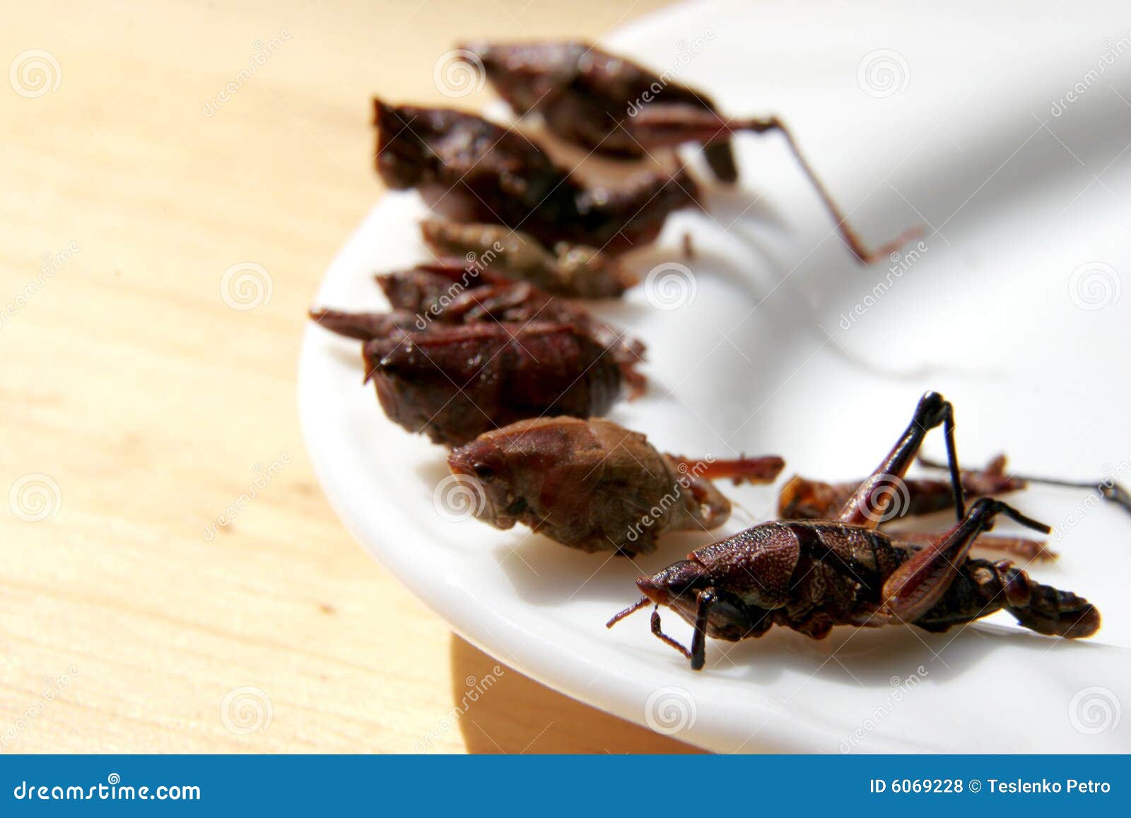 105 Mexican Locust Stock Photos - Free & Royalty-Free Stock Photos from ...