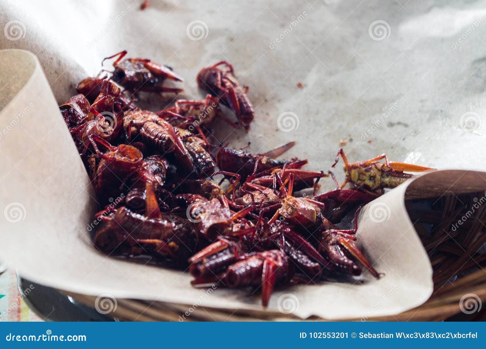 Chapulines, Grasshoppers And Guacamole Snack Traditional Mexican ...