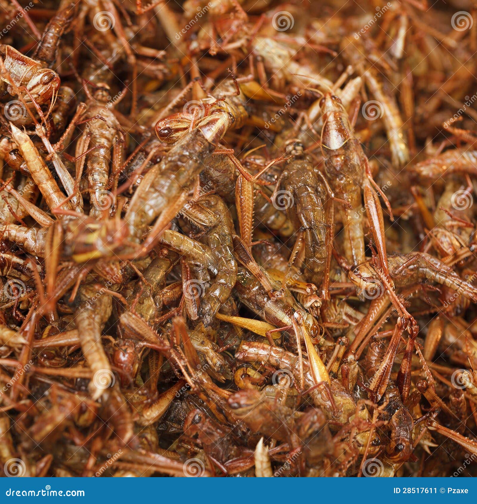 Fried Grasshoppers on Eastern Market Stock Image - Image of breakfast ...