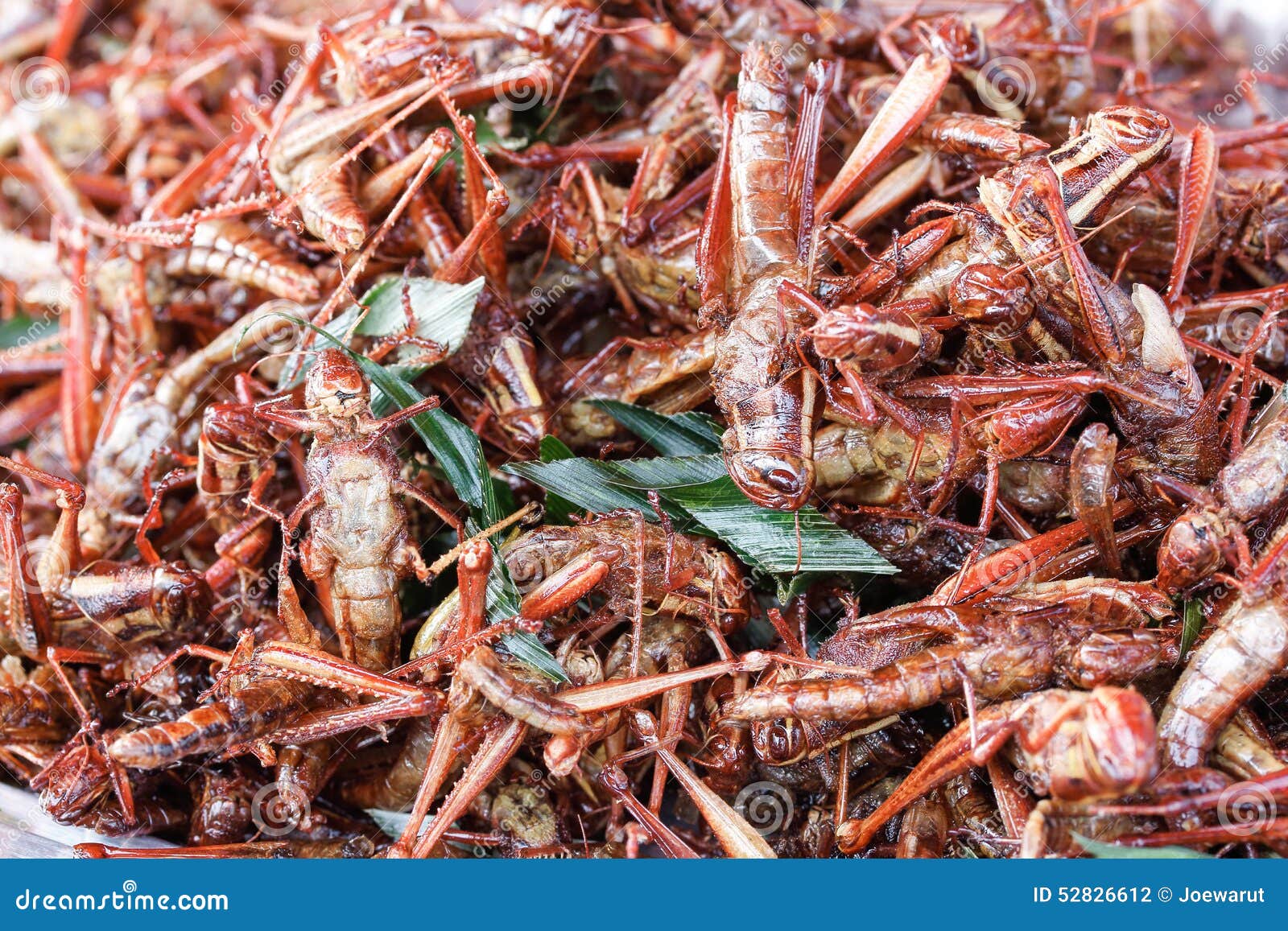 Fried grasshoppers stock photo. Image of asian, product - 52826612