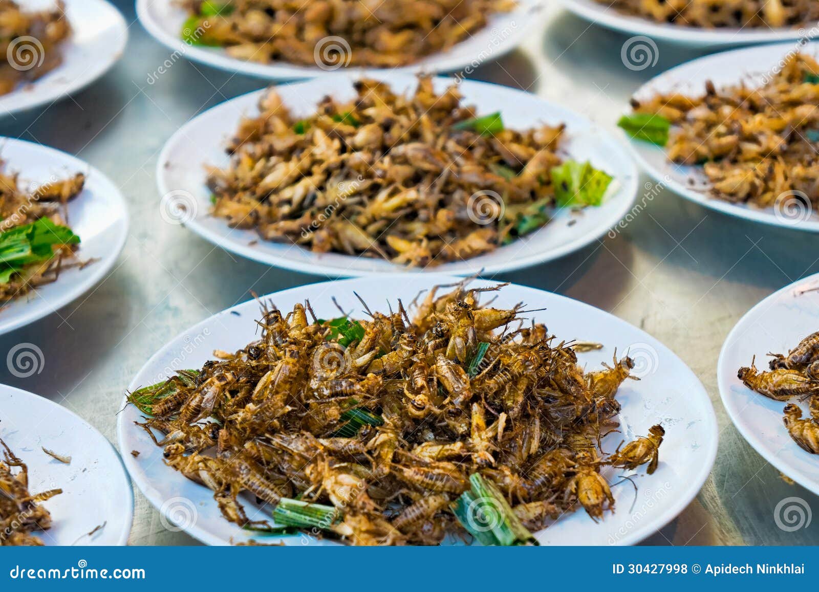 Fried grasshoppers stock photo. Image of meat, thailand - 30427998