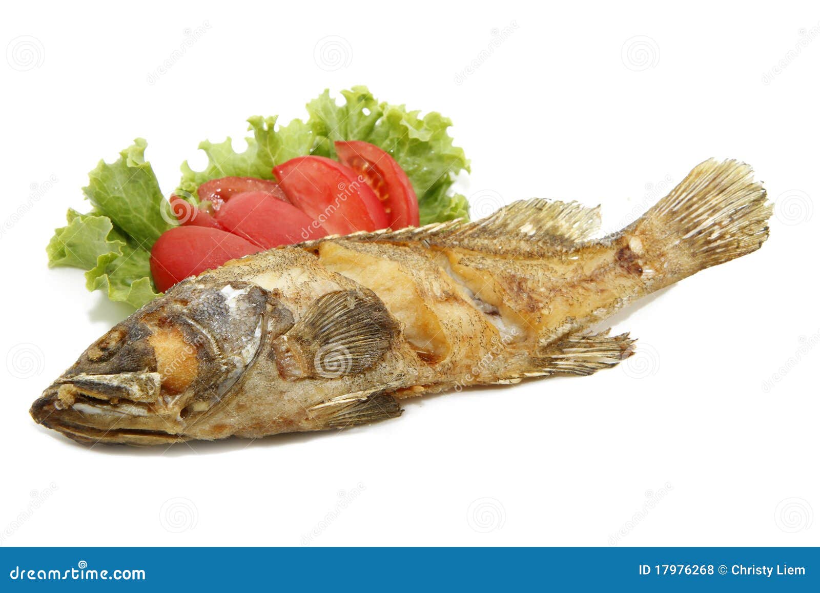 Fried grouper fish stock photo. Image of cooking, calorie - 17976268