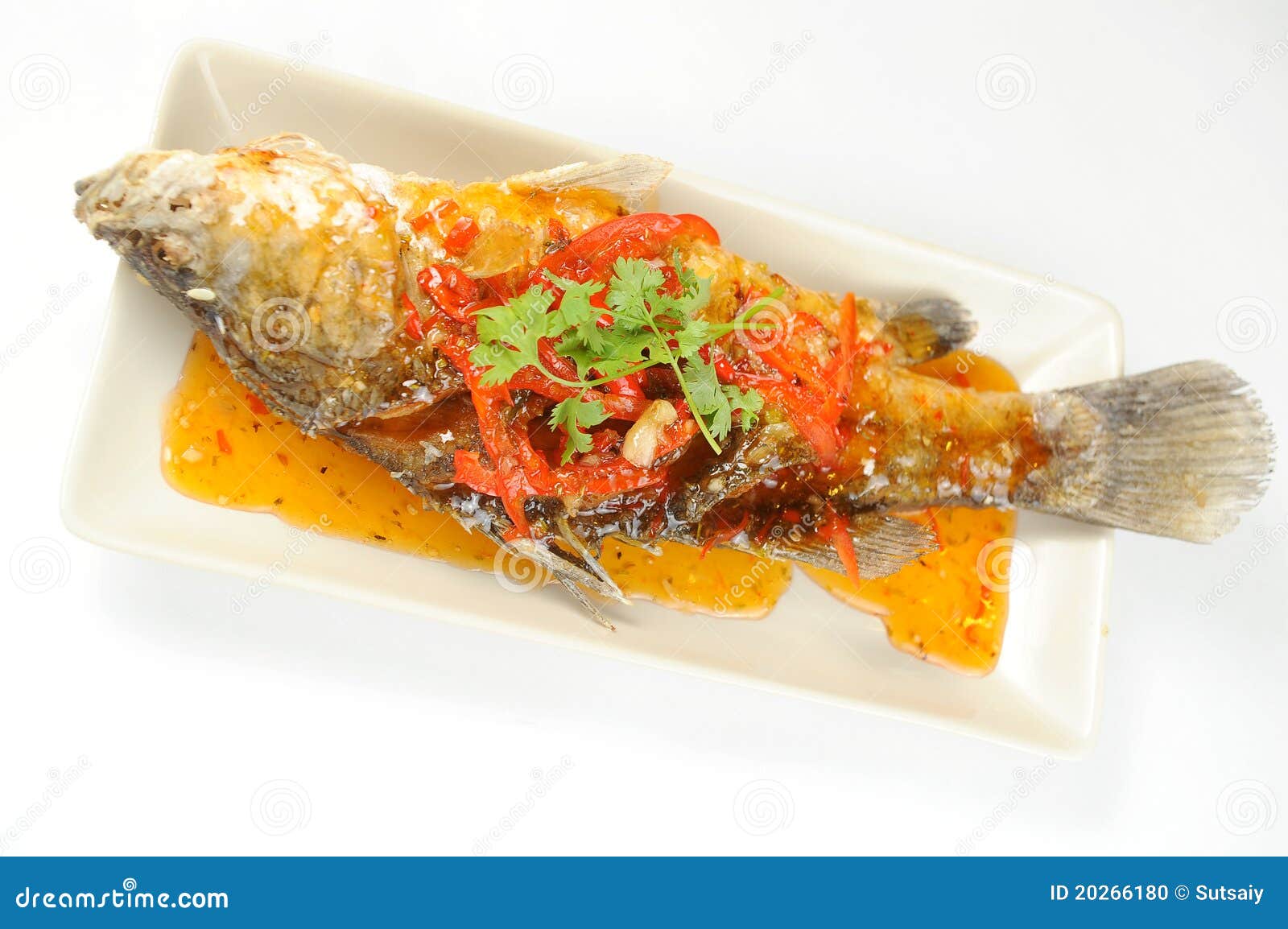 Fried grouper fish stock photo. Image of chef, close - 20266180