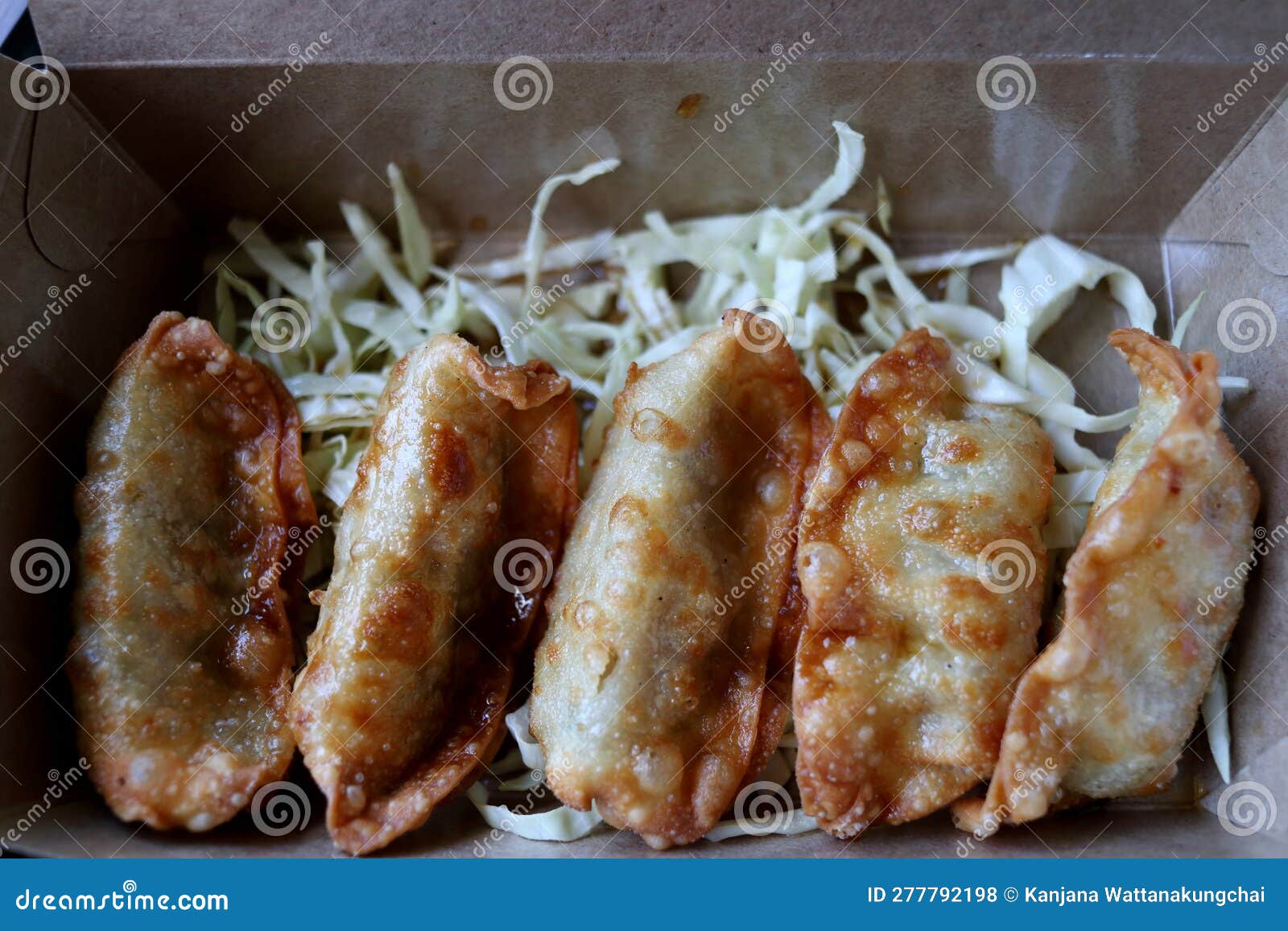 Fried Gyoza on Shreded Cabbage. Stock Photo - Image of cooking, cabbage ...