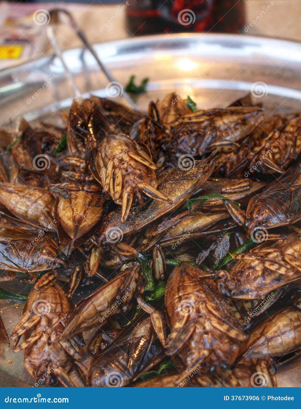Fried insect stock photo. Image of savory, cuisine, asia - 37673906
