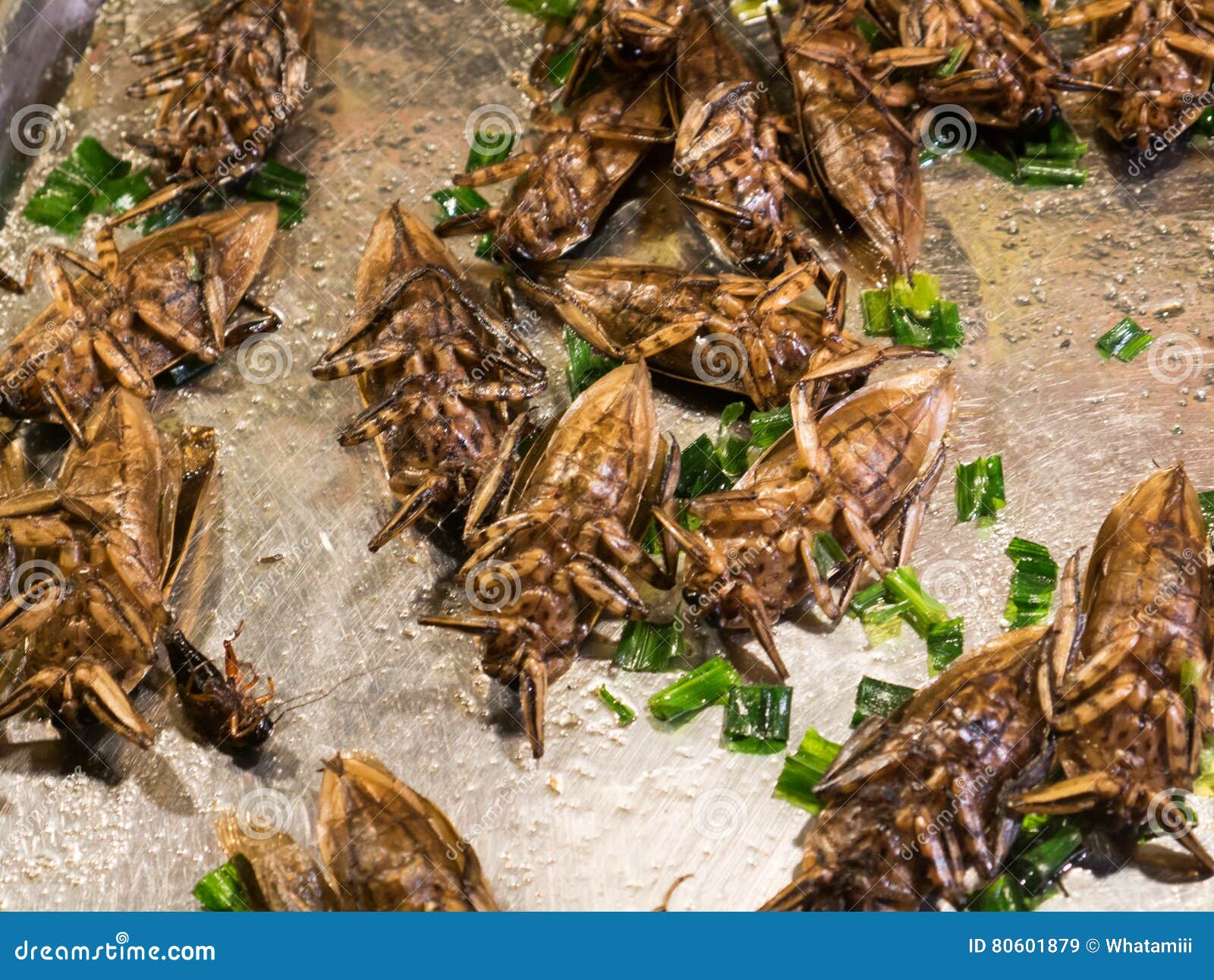 Fried insect stock image. Image of nutrition, cuisine - 80601879