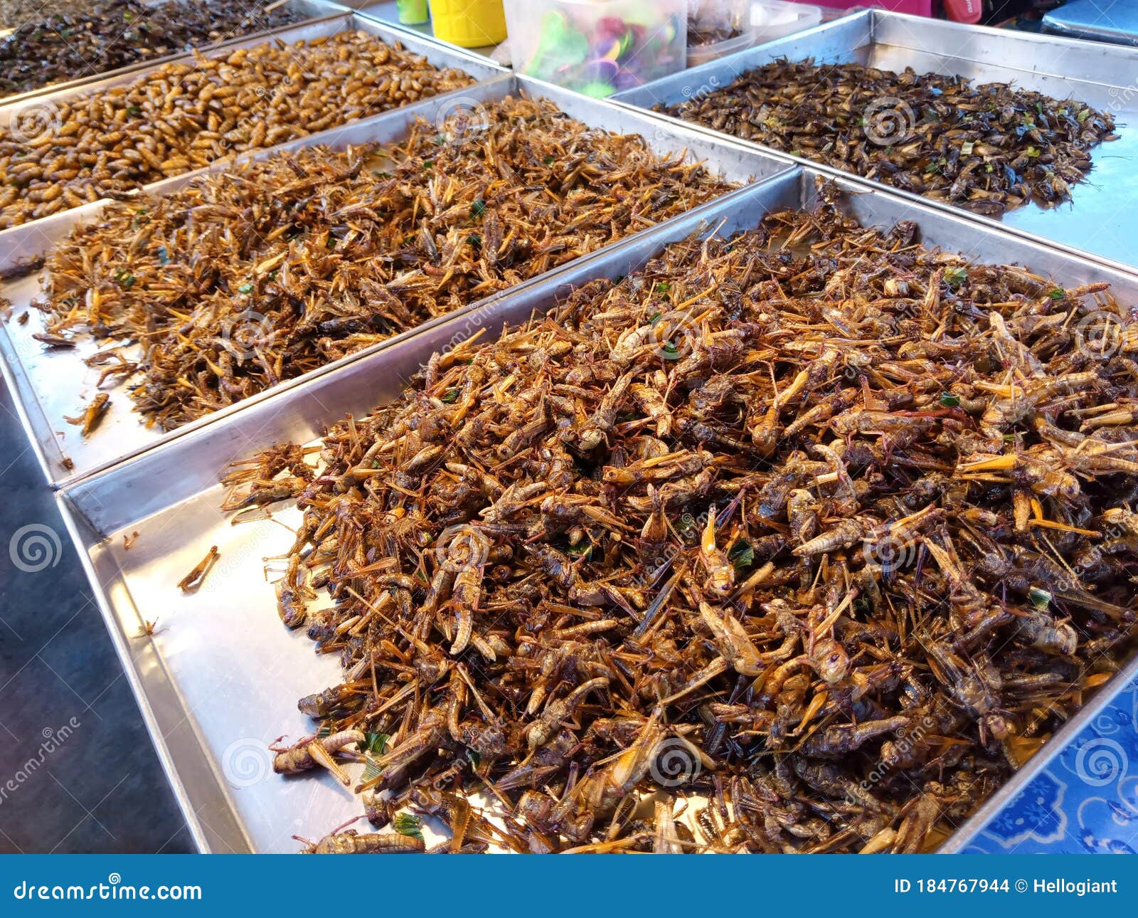 Fried insects stock photo. Image of edible, grasshoppers - 184767944