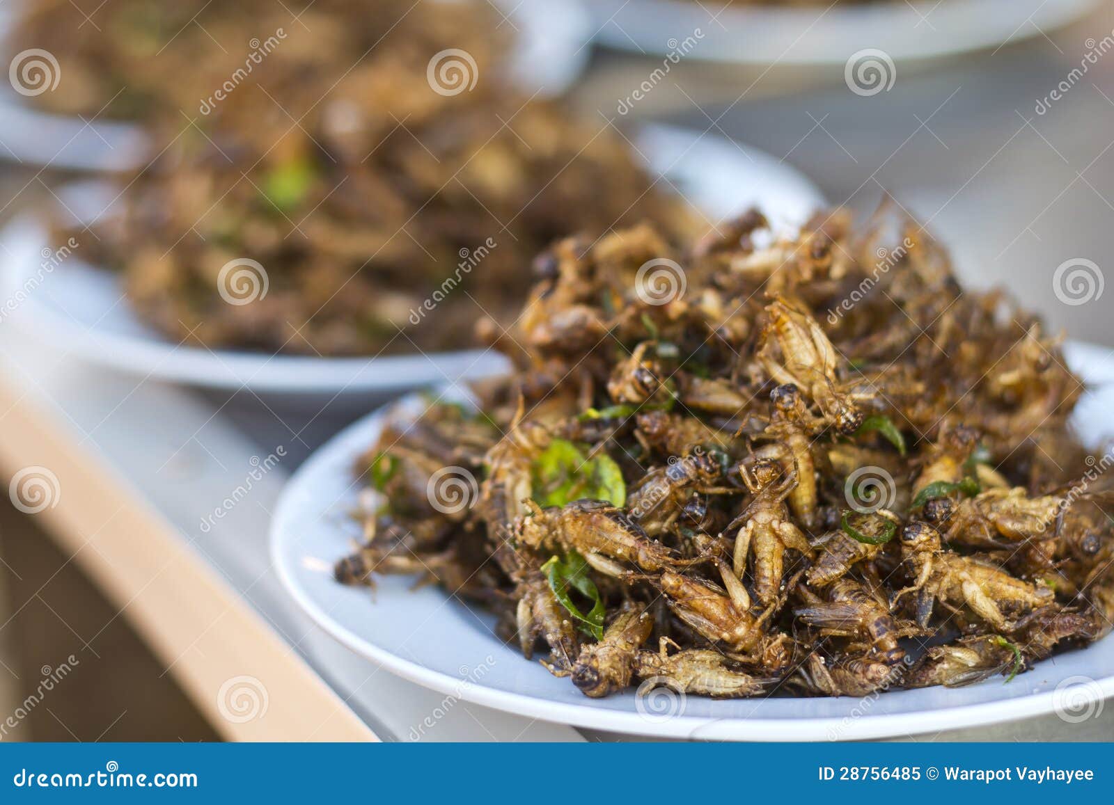 Fried Insects Like Bugs, Grasshoppers, Larvae, Caterpillars And ...