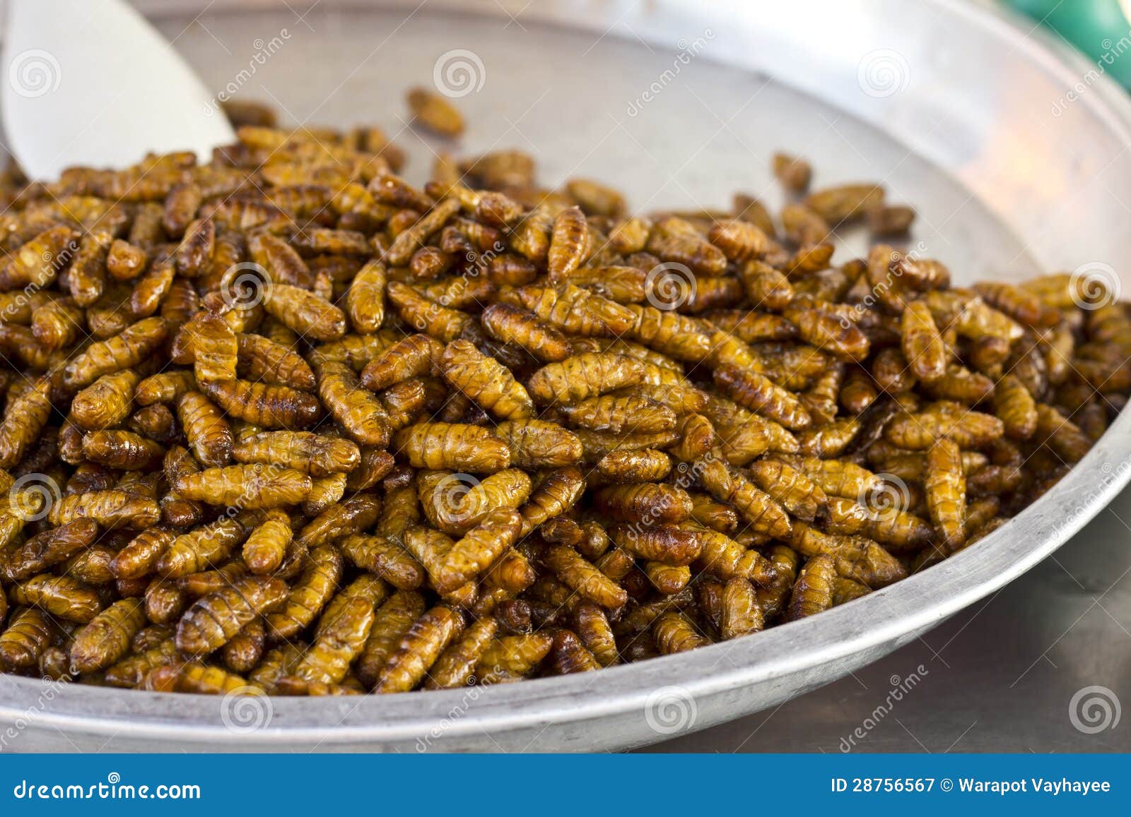 Fried insects stock image. Image of meal, yellow, fried - 28756567
