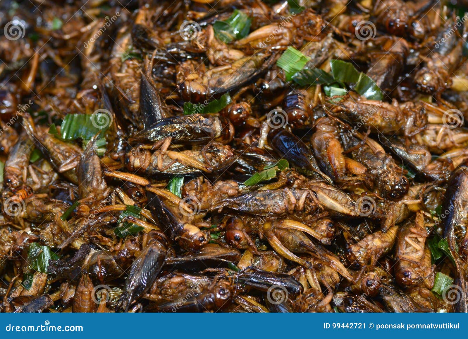 Fried insects in Bangkok stock image. Image of protein - 99442721