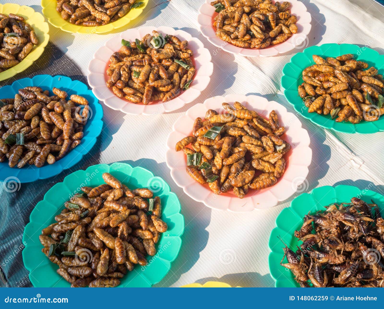 Fried Insects for Sale at a Market Stock Image - Image of exotic ...