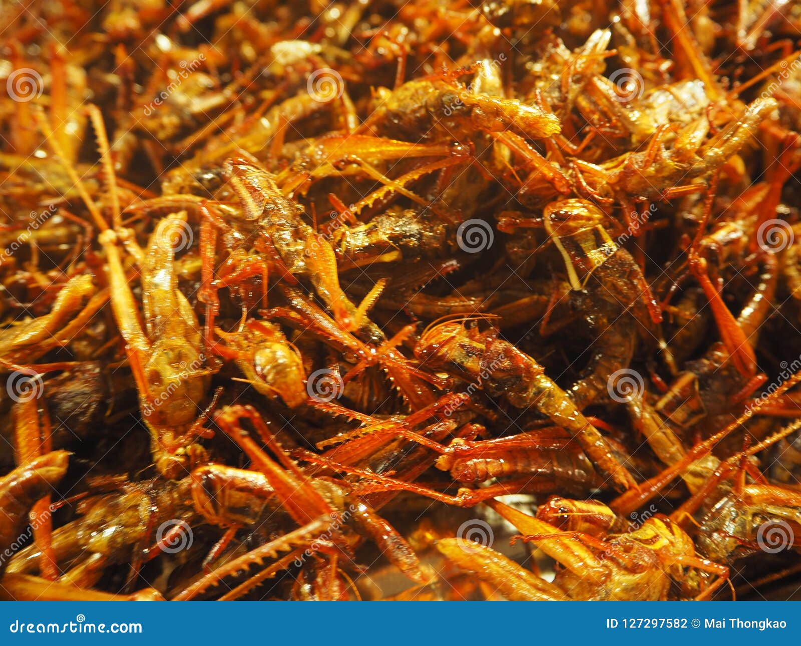 Fried Insects,Deep Fried Insects Stock Photo - Image of worm, crisis ...