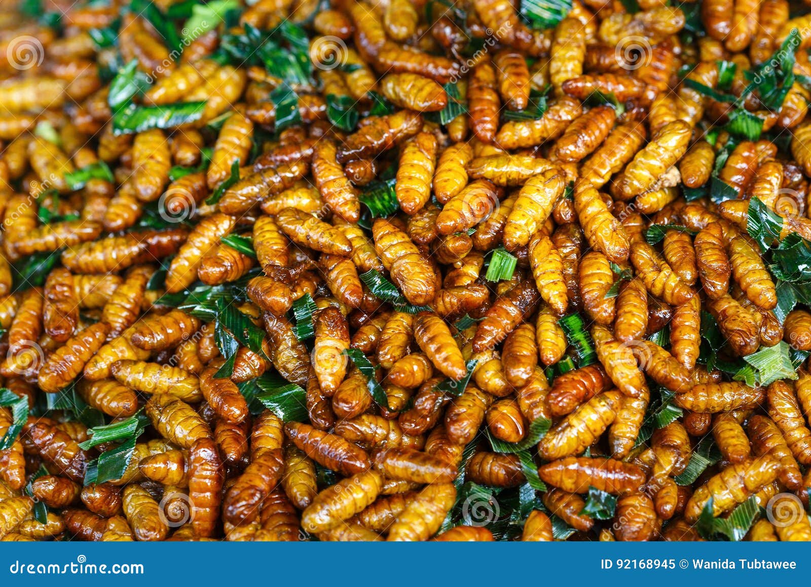 Fried Insects,fried ,insects. Stock Image - Image of dried, lunch: 92168945