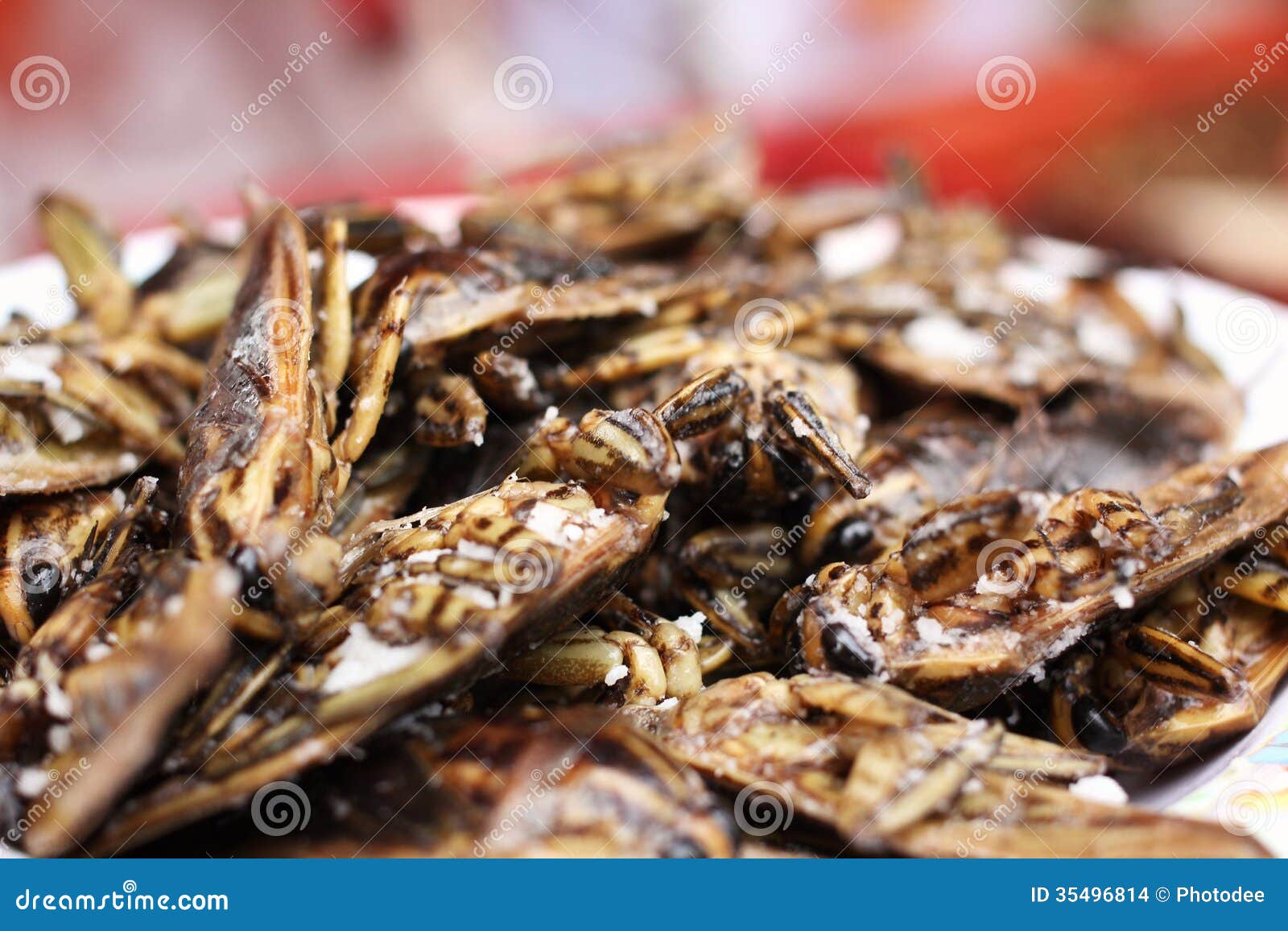 Fried insects. stock photo. Image of aquatic, diet, delicious - 35496814