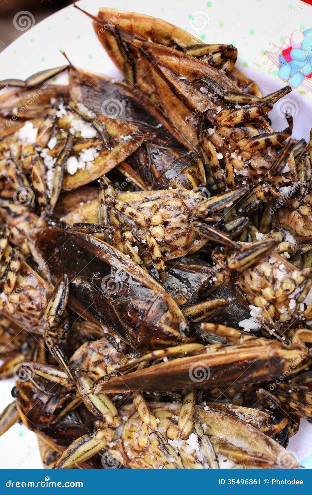 Fried insects. stock image. Image of heap, fowl, food - 35496861