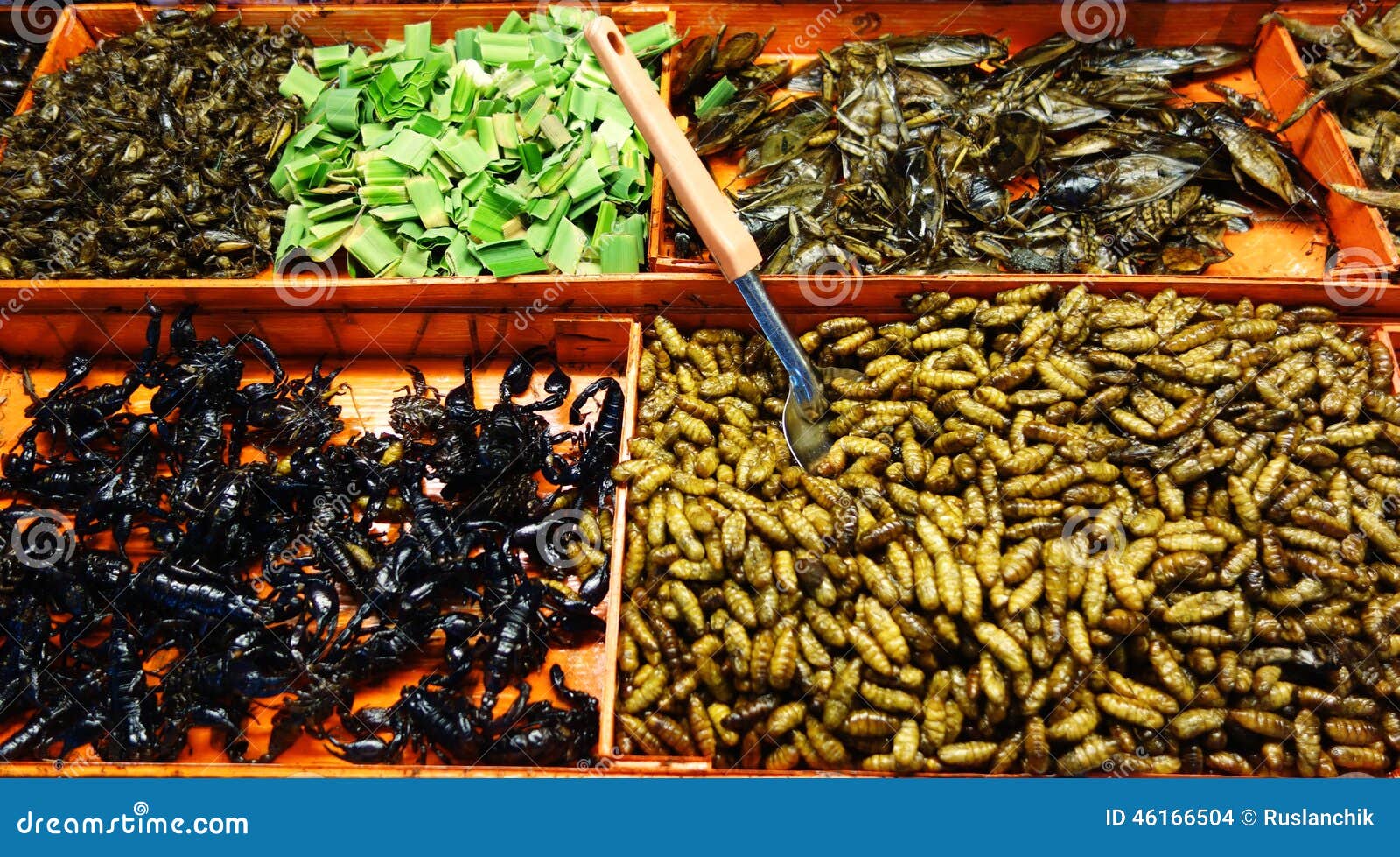 Fried insects stock photo. Image of cricket, thailand - 46166504