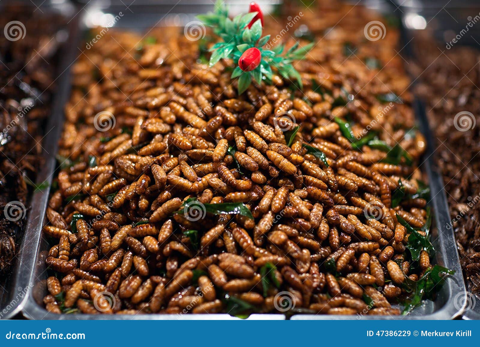 Fried insects stock image. Image of meal, cuisine, asian - 47386229