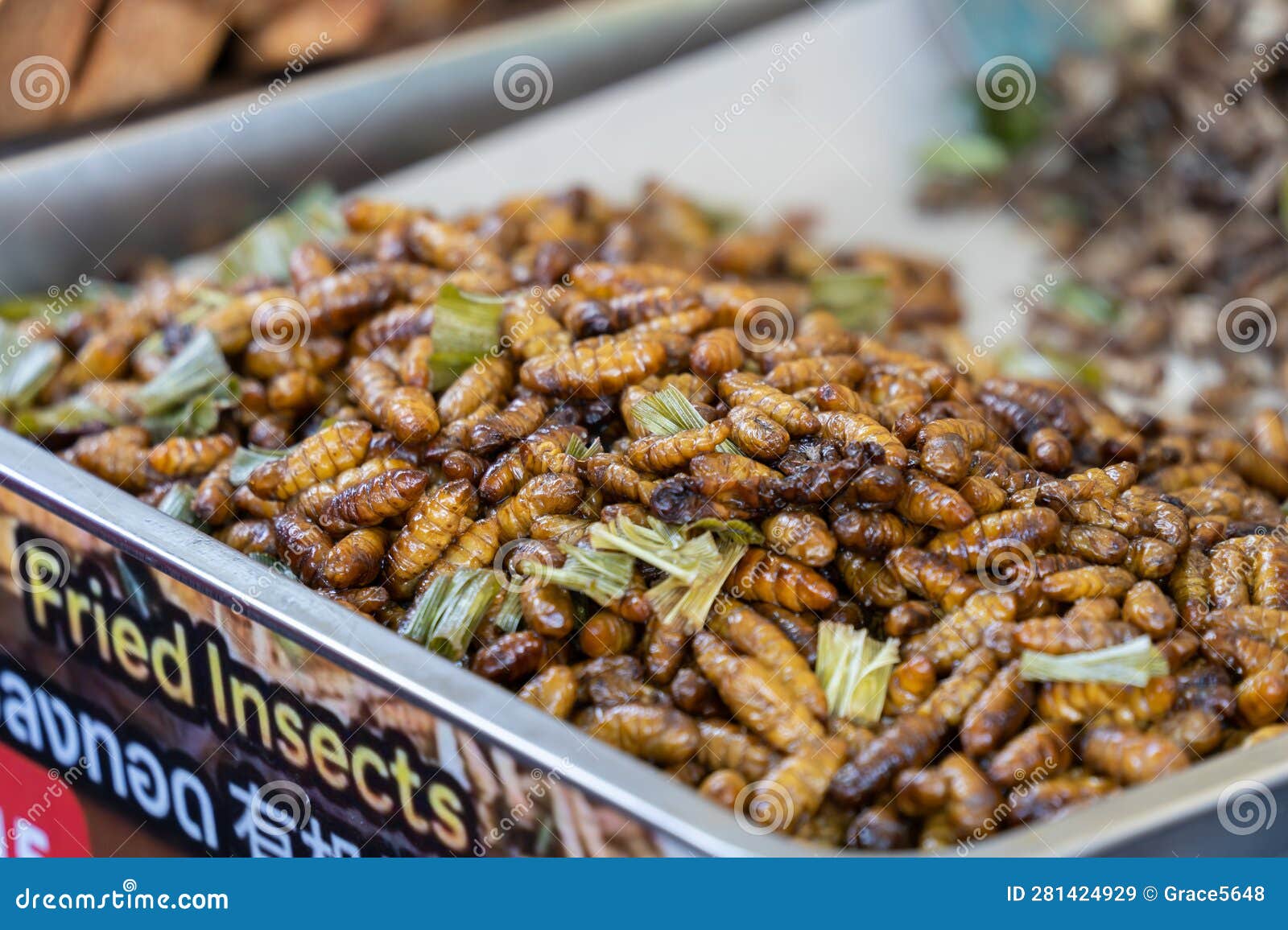 Fried Insects is One of the Famous Snack in Thailand Stock Image ...