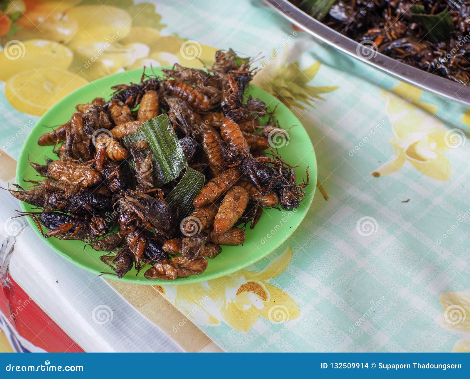 Fried insects stock photo. Image of bangkok, insects - 132509914